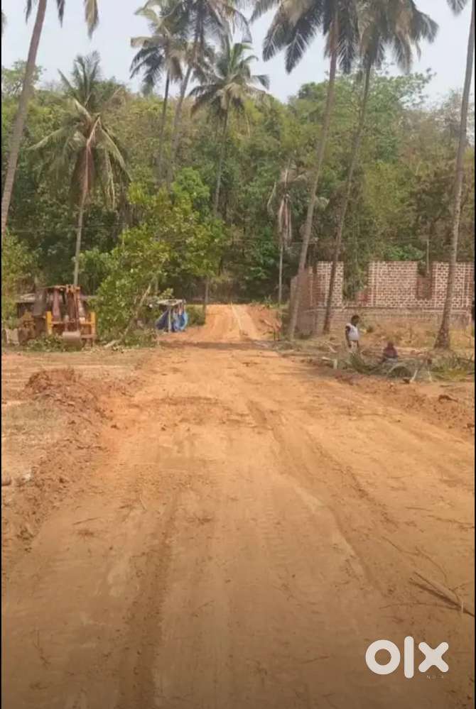 Plots for sale in Cotorem Goa @4500/sqm - Lands & Plots - 1809784686