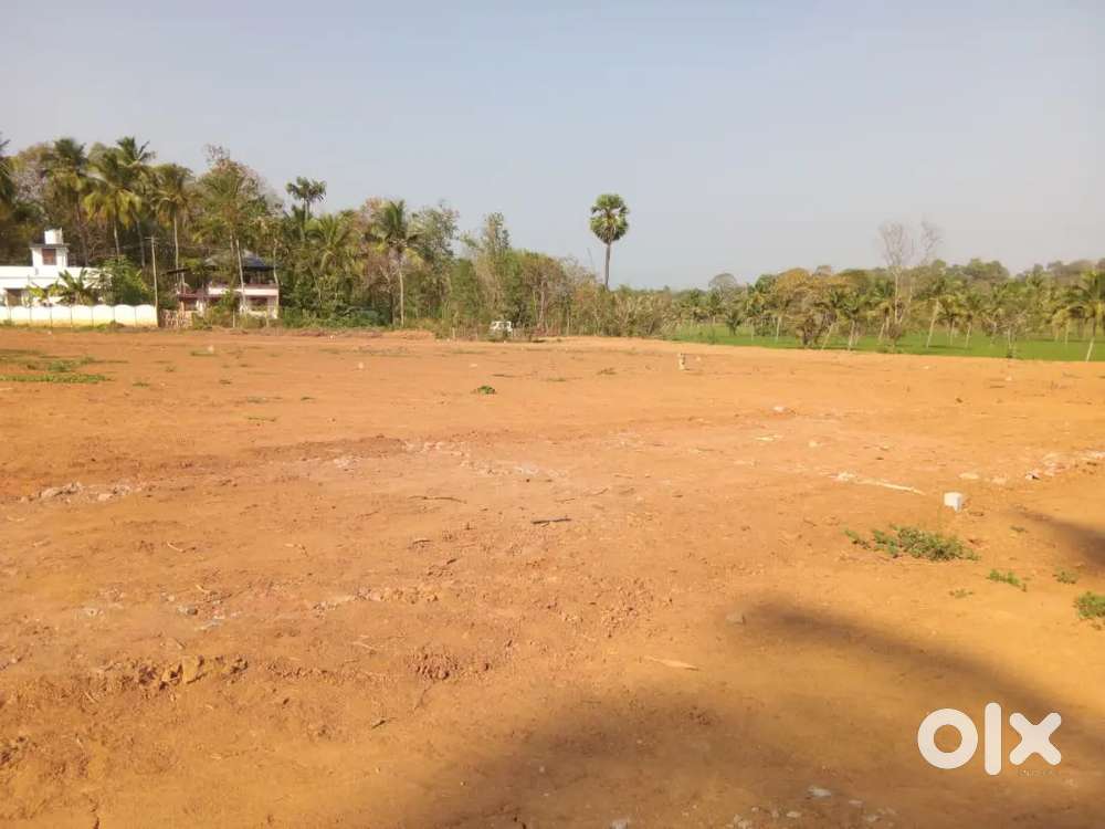പാലക്കാട് മങ്കര pathirippala highway side villa plot for sale - Lands ...