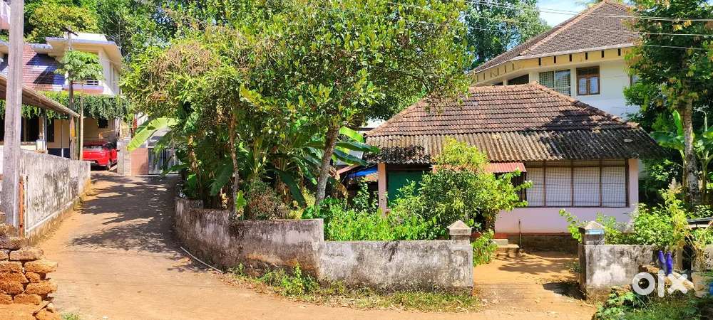 7 cent land with old house for sale 52 Lacs Negotiable - For Sale ...