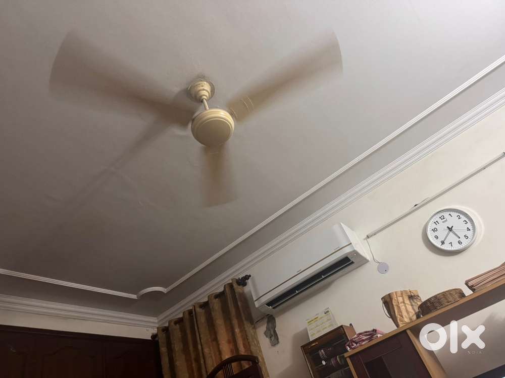 Ceiling fan 48 inch orient - Kitchen & Other Appliances - 1806780474