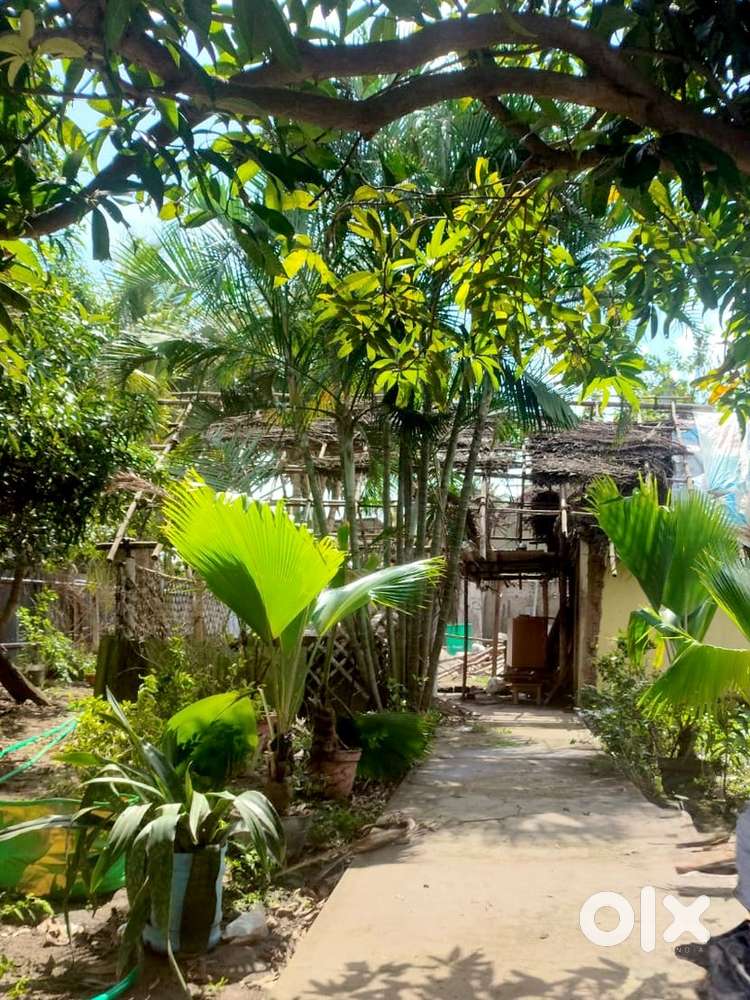 Farmhouse for Sale in Alamathi, Chennai | 7700 Sq. Ft. | House + Pool ...