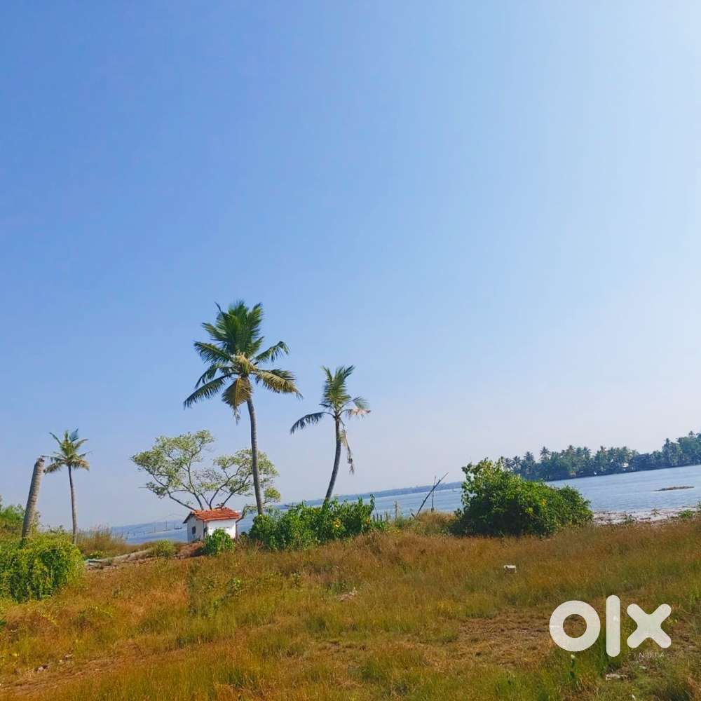 Waterfront land at Ochanthuruthu Kochi - Lands & Plots - 1785617429