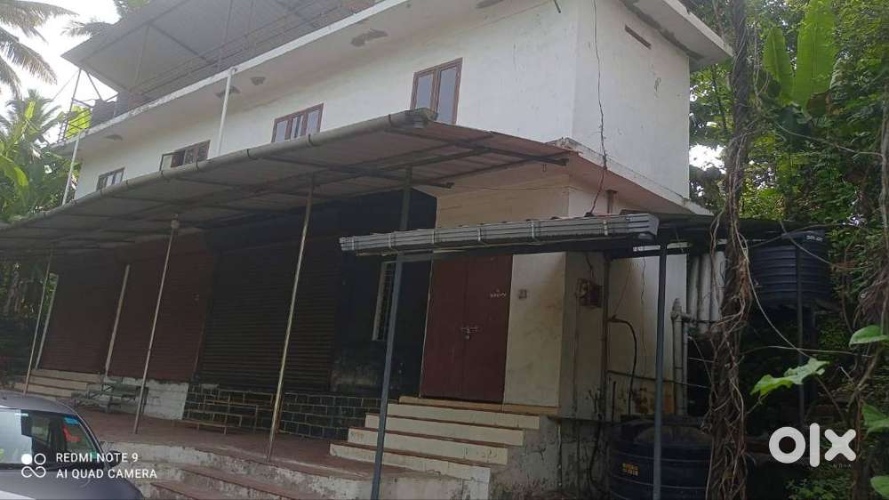 House for rent at Pala 12 mile - For Rent: Houses & Apartments - 1805413305