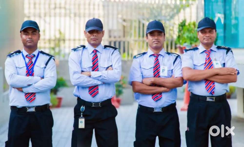 requarment--- security guard ,school bas driver - Other Jobs - 1787630246