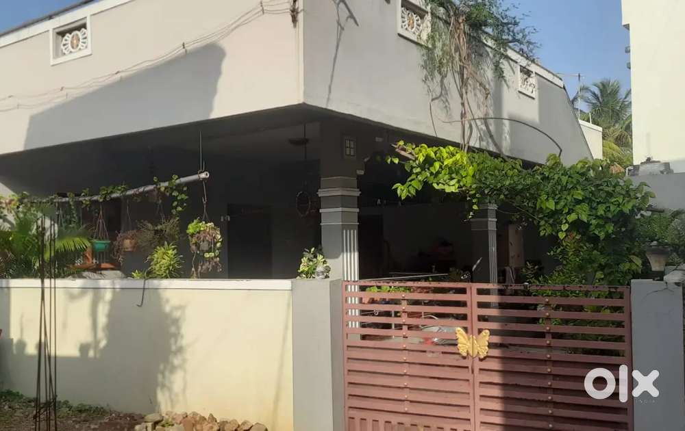 15yr old individual house for sale in Kurumbapalayam (Vedapatti) - For ...