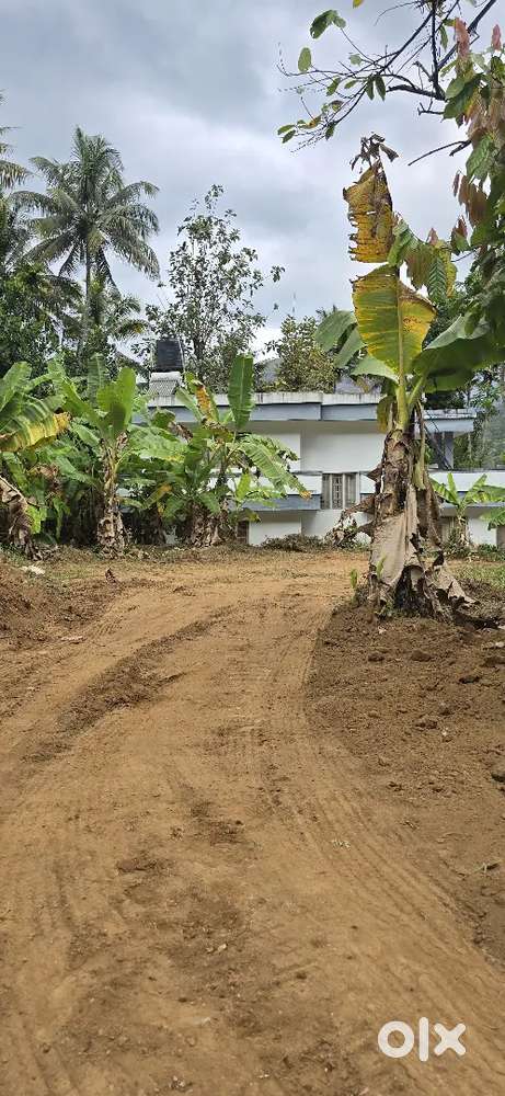 Adimali millumpadi 8cent - Lands & Plots - 1798495040