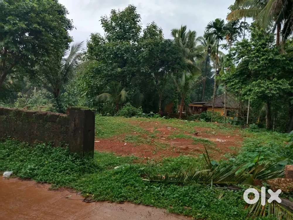 12 cents, thodar - Lands & Plots - 1780353561