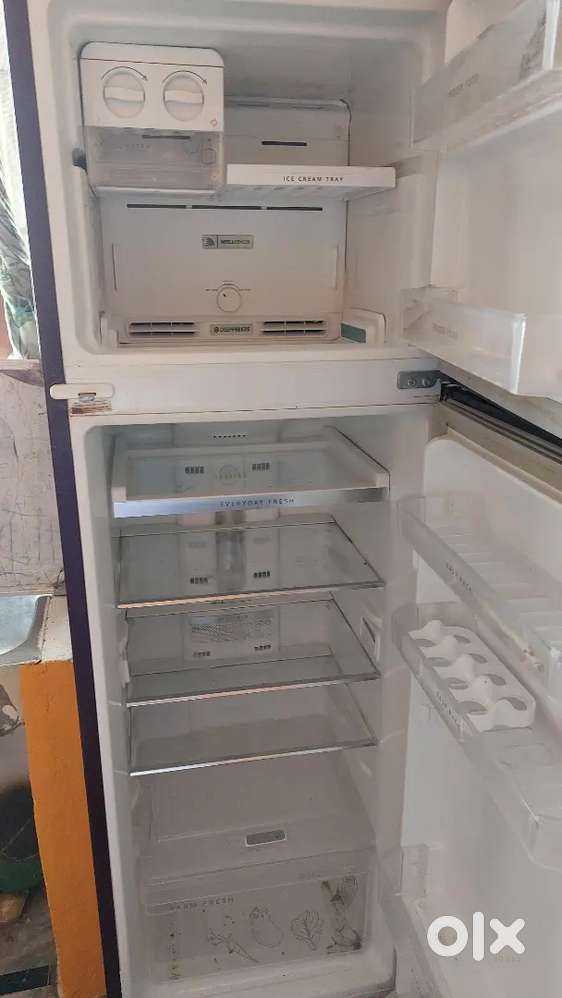 Fridge double door only3 years old rarely used - Fridges - 1806543286