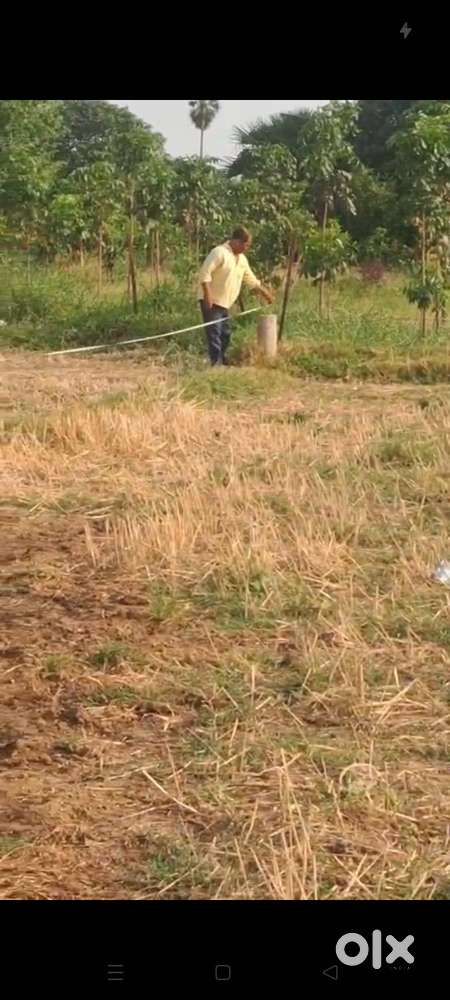 Patna in Bihar, Free classifieds in Bihar | OLX