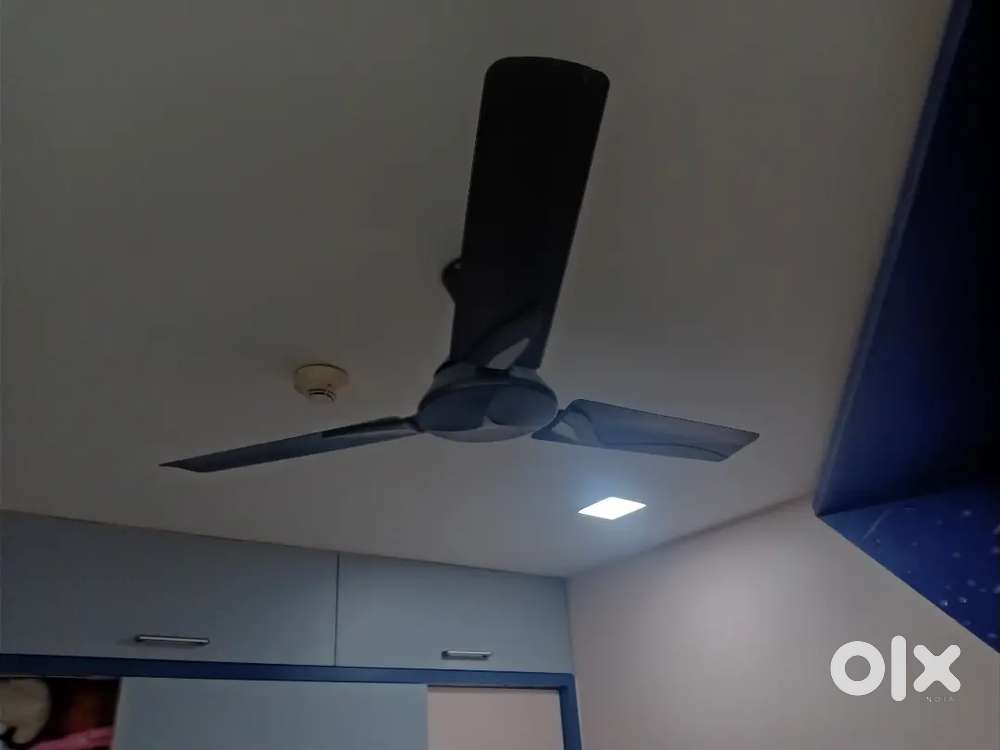 Sealing Fan - Kitchen & Other Appliances - 1791332580