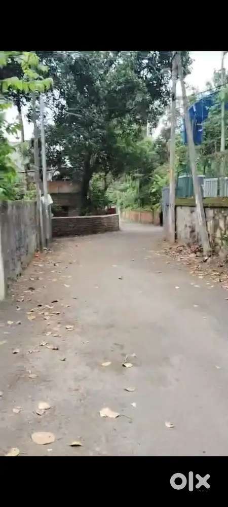 18 cent or 8 cent land for sale Vazhuthacad 100 m from main road ...