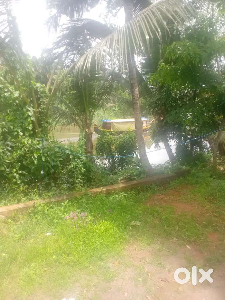 Land at nearby chakkulathukavu temple, thalavady - Lands & Plots ...