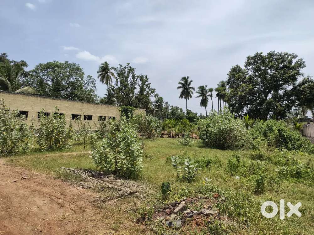 East facing kadiyam - Lands & Plots - 1819659476
