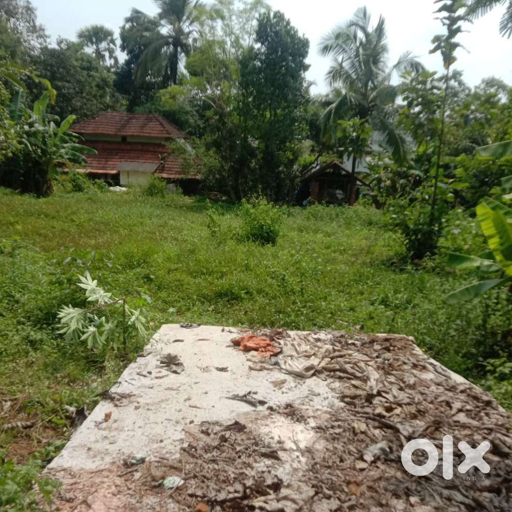 Near valluvanad school - Lands & Plots - 1826763267