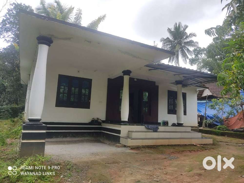 10 Cent Plot with 3BHK House for Sale in Muttil Wayanad - For Sale: Houses & Apartments - 1787297323
