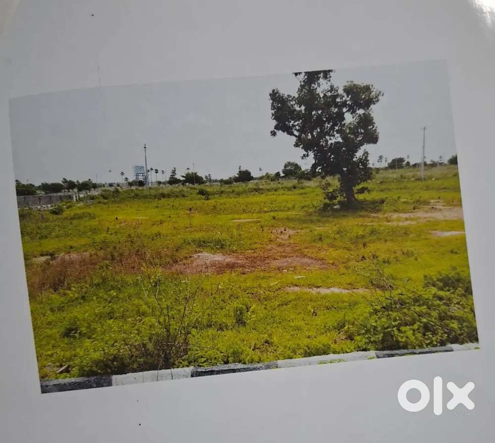 Prime East-Facing Open Plot for Sale in LPR Venture! - Lands & Plots in ...