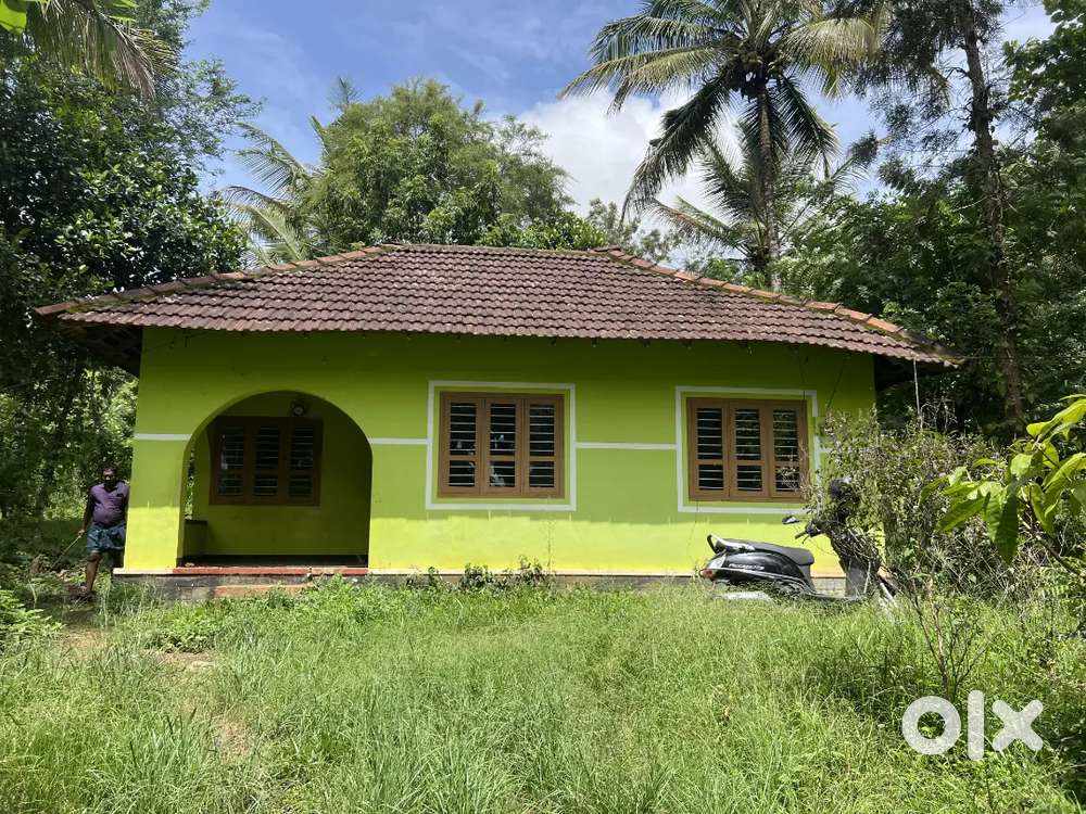 Wayanad Land - Lands & Plots for sale in Kerala | OLX