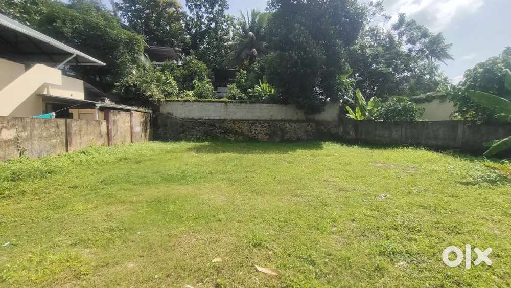 10 CENT LAND FOR SALE NEAR MUTTADA JUNCTION - Lands & Plots in Muttada ...