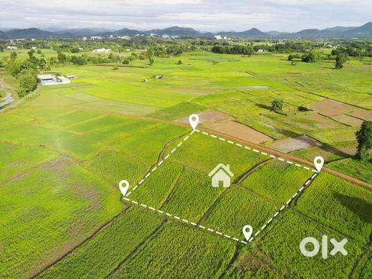 250 gaj plot for sale - Lands & Plots - 1819517957