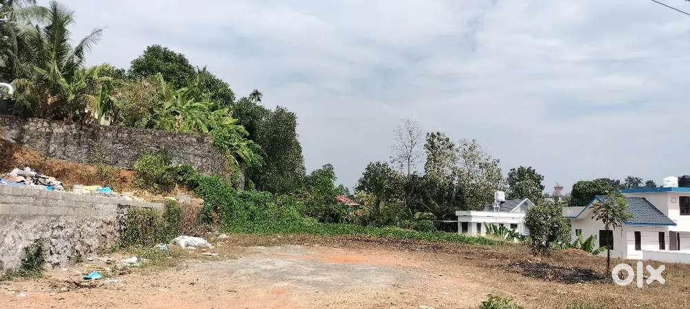 10 Cents House Plot for Sale@ PATHANAMTHITTA - Lands & Plots - 1797092403