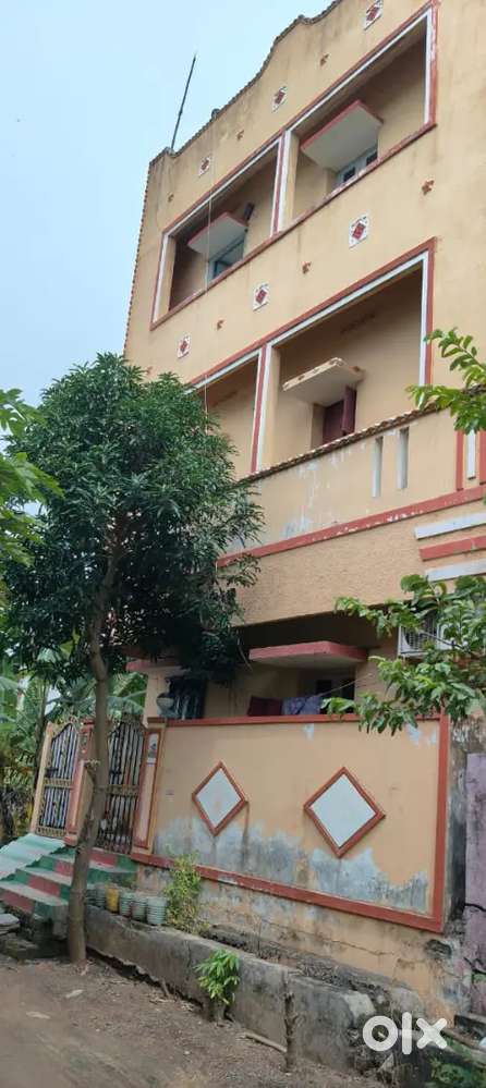 House For Sale in Tenali, Free classifieds in Tenali | OLX