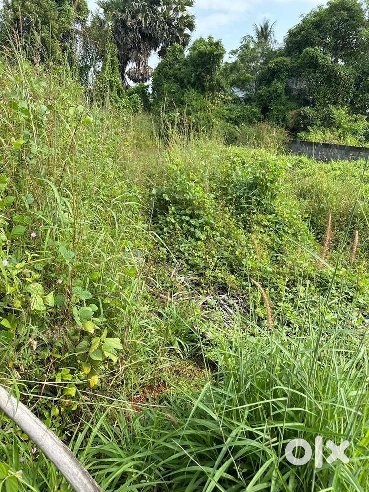 Buy, Sell & Rent Properties in Kerala | OLX