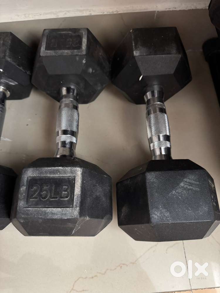 Amazon basics 10 kg dumbells - Gym & Fitness - 1801052412