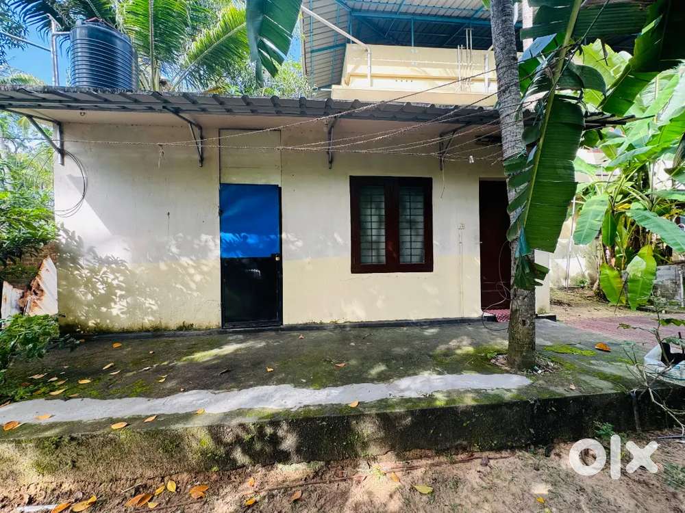 House for Rent - For Rent: Houses & Apartments - 1813641439