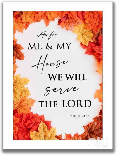 Tally Operators Female - Accountant - 1797701635