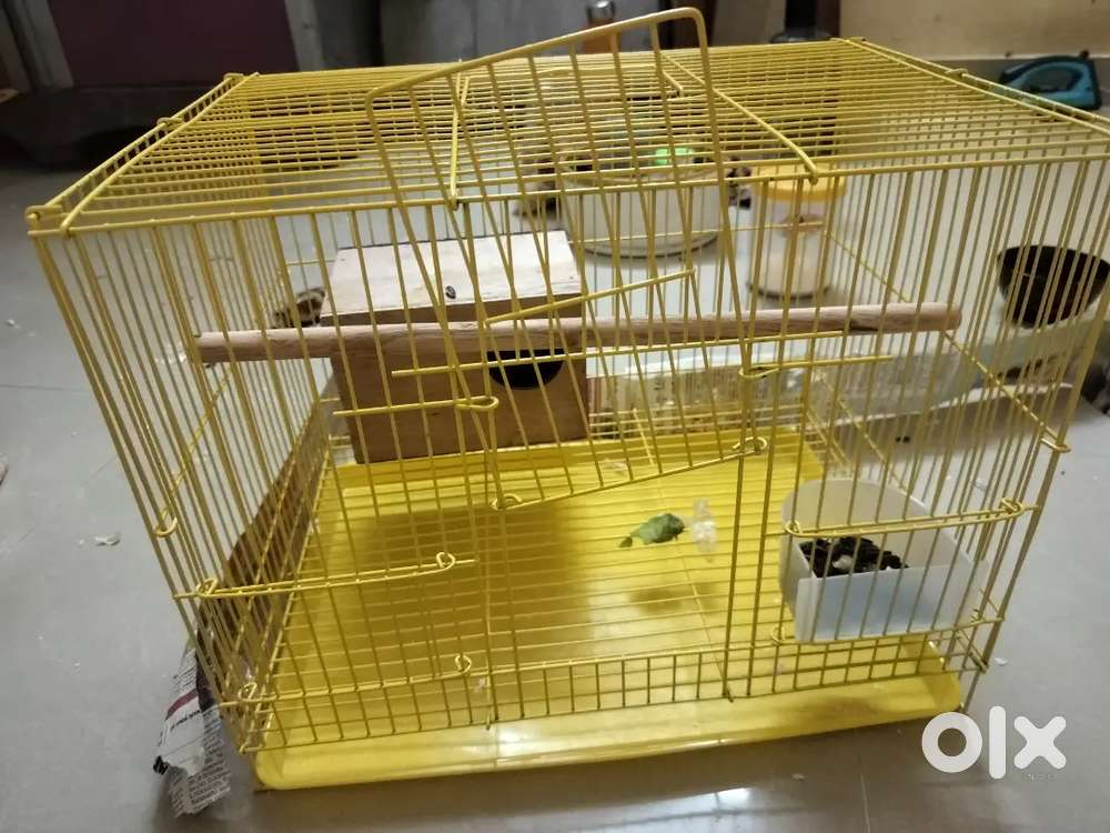 Cage for hampster, birds - Pet Food & Accessories - 1828442143