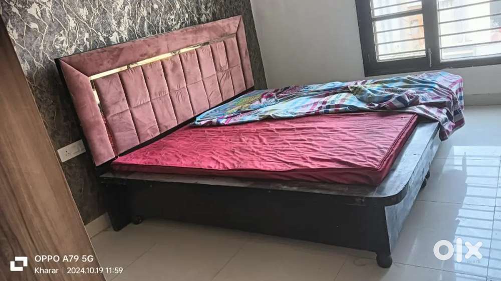 Double Bed With Box Buy Sell Used Furniture in Mohali OLX