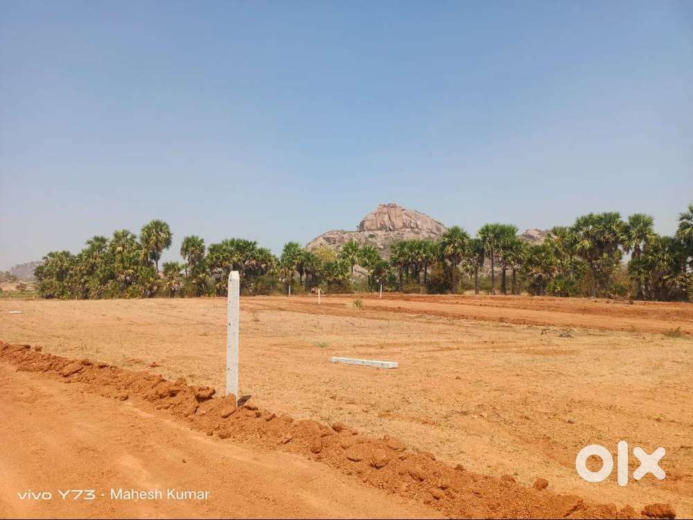 1 Gunta Land for sale in Marriguda - Lands & Plots - 1728340735