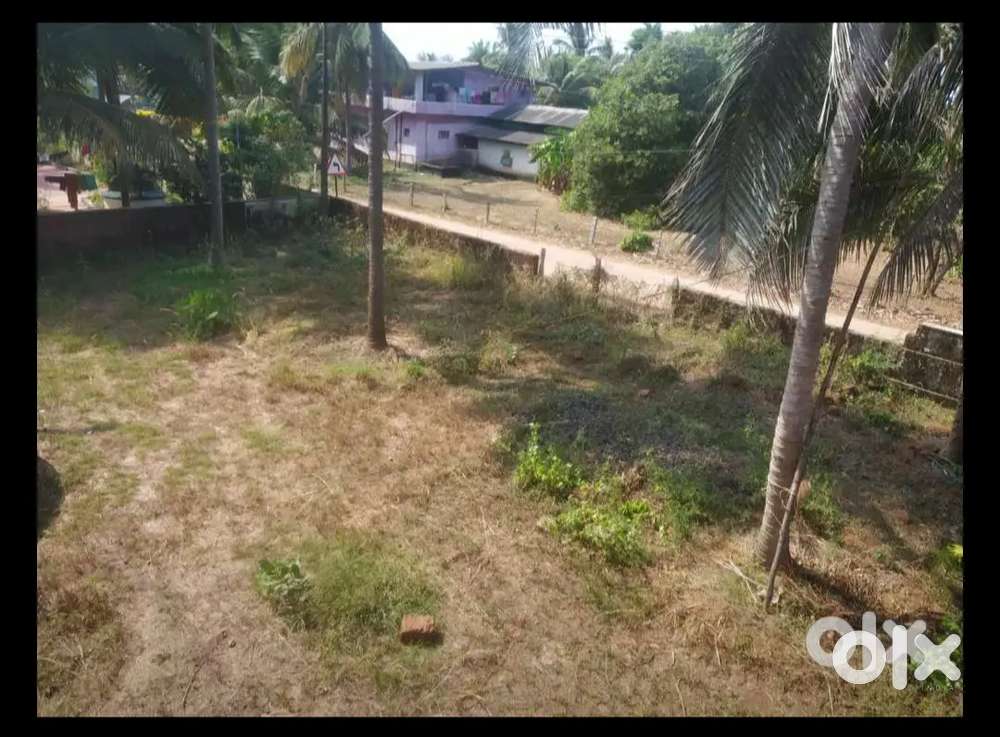 16 Cents Road side Full Land For Sale in Trasi - Lands & Plots - 1807213038