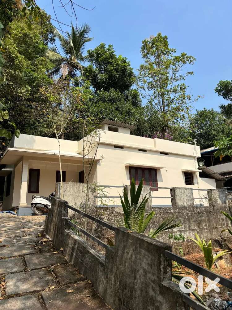 Near to Manjeri, 2BHK Peaceful area - For Rent: Houses & Apartments ...