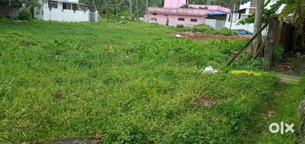 3 side road facing property - Lands & Plots - 1716028915