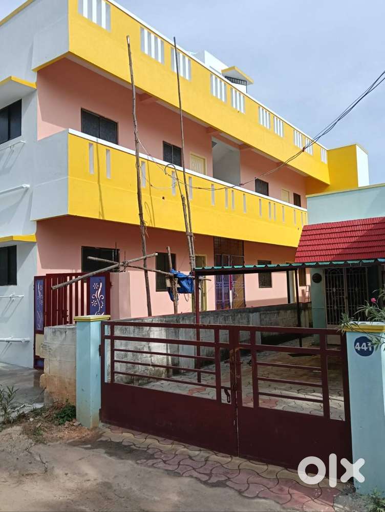 Rental House - For Rent: Houses & Apartments - 1827804954