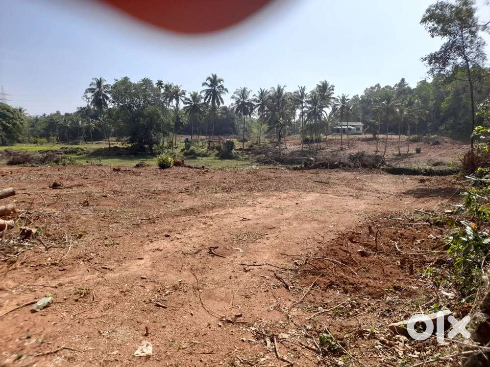 51cents of agricultural land for sale behind miyar church. - Lands ...