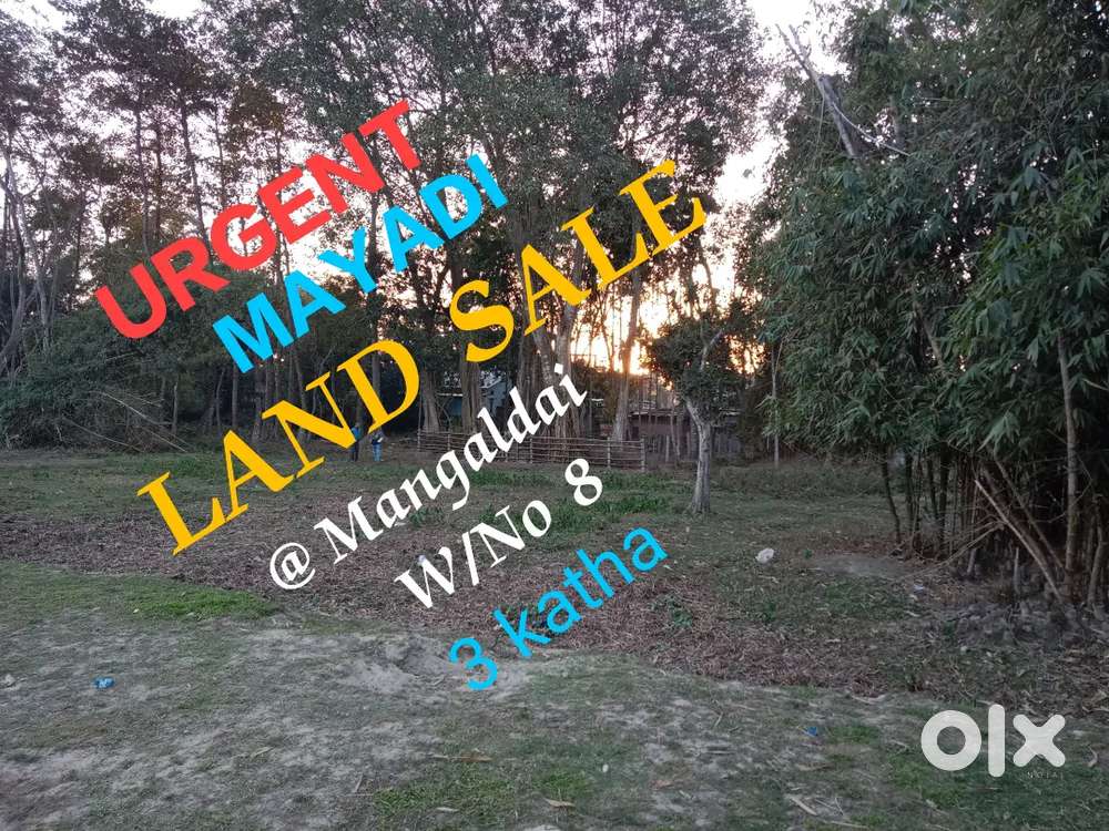 3katha mayadi land sale @ Mangaldai w/no 8 - Lands & Plots - 1800228604