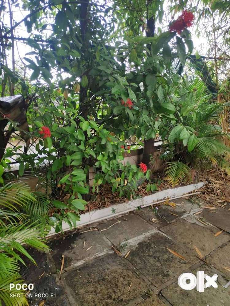 SHOP /OFFICE FOR RENT - For Rent: Shops & Offices - 1819449795