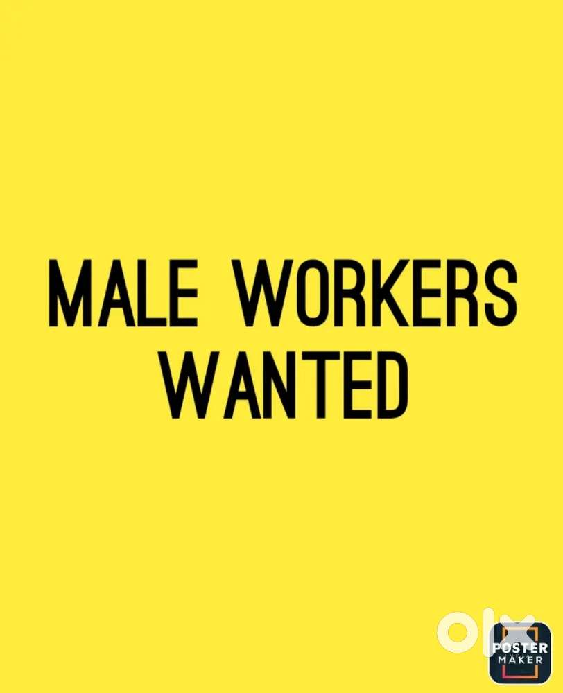 MALE WORKERS WANTED - Other Jobs - 1795932937