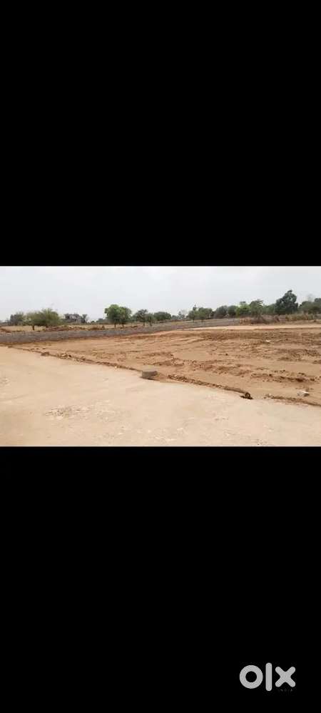 233 Gaj Residential converted plot - Lands & Plots - 1813686104