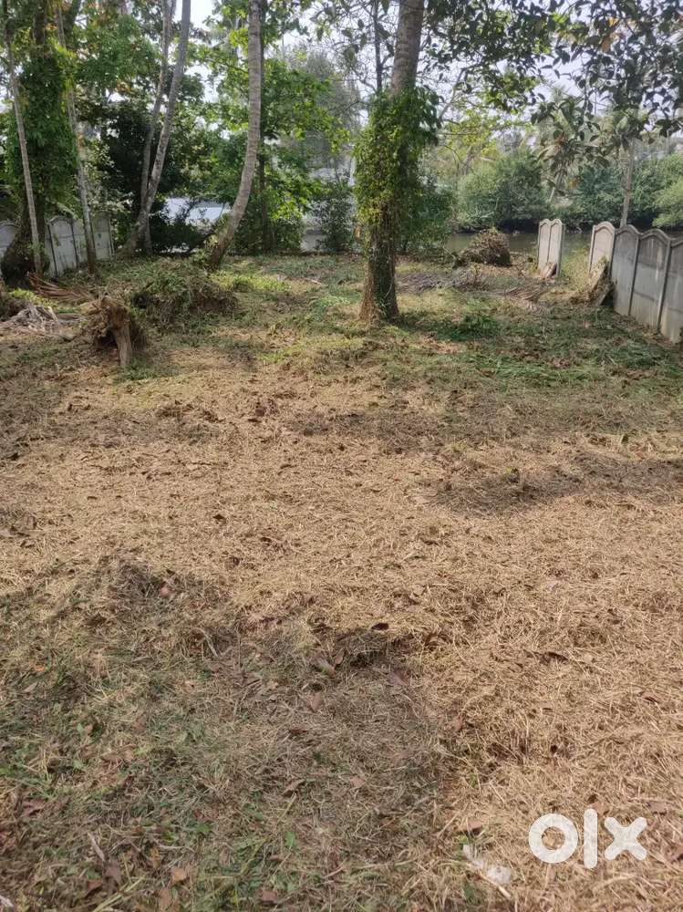 Lakeside property for sale in north paravoor - Lands & Plots - 1799479822