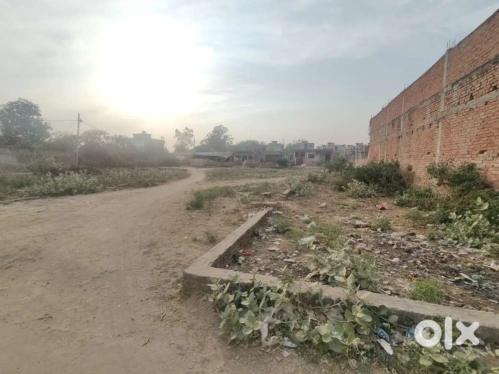 Plot for sell - Lands & Plots - 1803008587