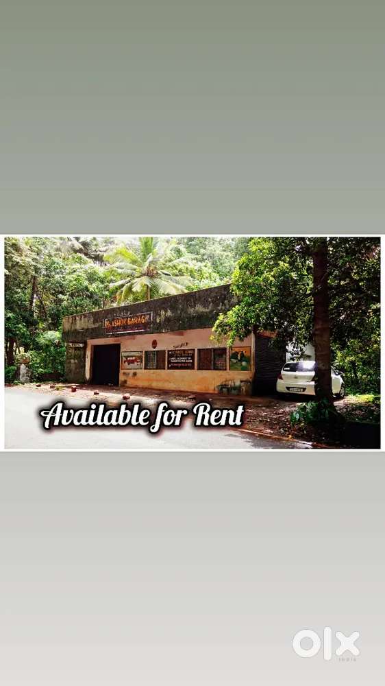 Available for rent - For Rent: Shops & Offices - 1804250902