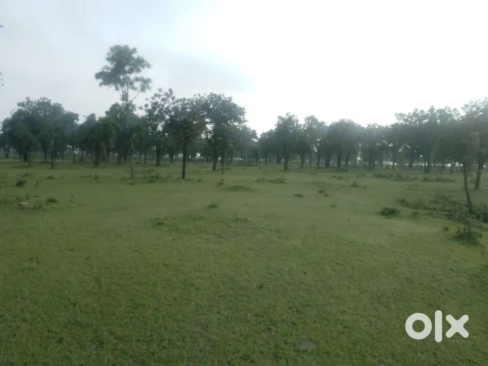 1 acre 237 varg meter zameen - Lands & Plots - 1818859235
