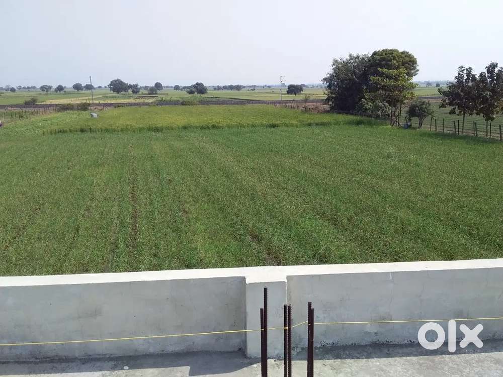 Farm house all land covered by steel net with steel pols. - Lands ...
