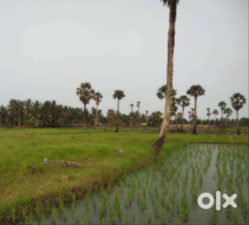 11 acres farm land - Lands & Plots - 1819189690