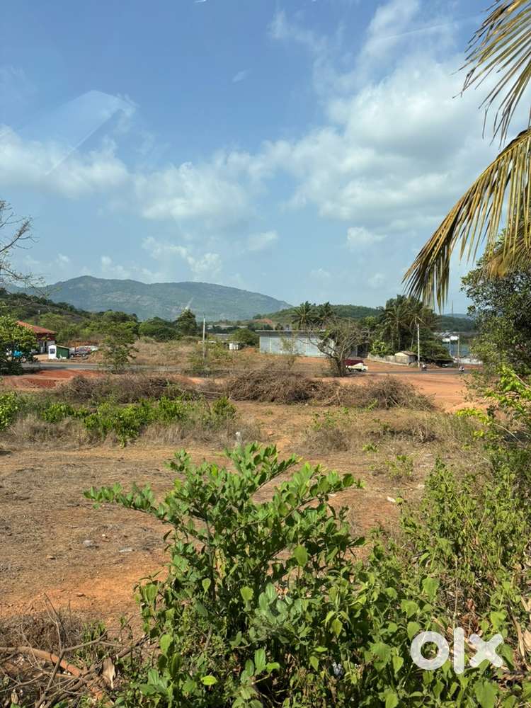 Approved sub divided layout - Lands & Plots - 1807521801