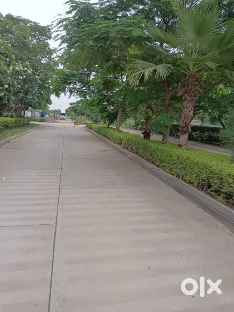 1064gaj corner plot at omaxe 3, New Chandigarh - Lands & Plots - 1815902703