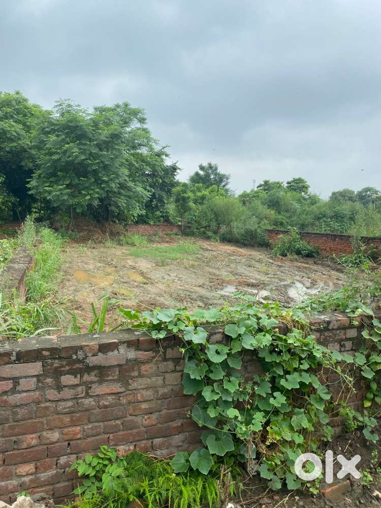 400 Gaj East facing Plot in Barewal Ludhiana - Lands & Plots - 1816811442